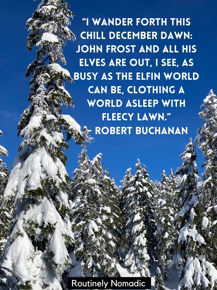 100 Inspiring Happy December Quotes to Welcome a New Month - Routinely ...