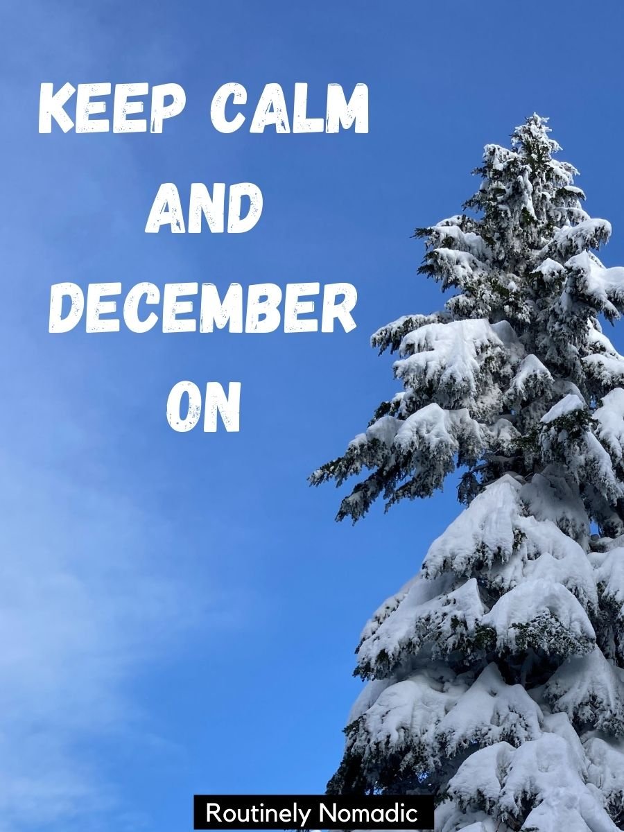 The 275 Best December Letter Board Quotes, Sayings and Ideas ...