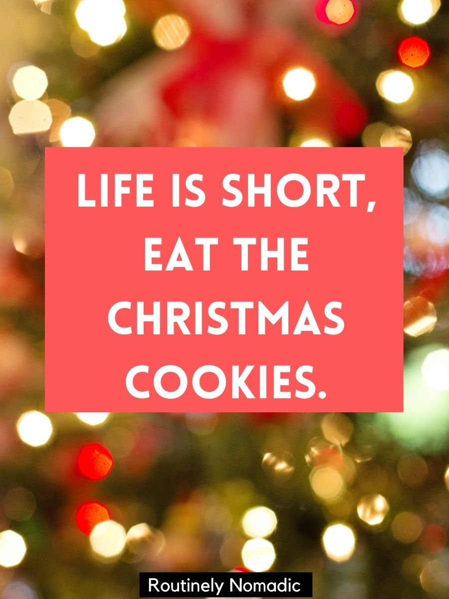 Funny and Cute Christmas Cookies Quotes, Captions and Puns - Routinely ...