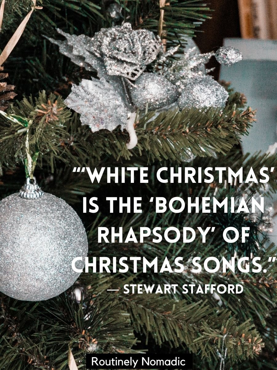 145 Funny Christmas Quotes and Sayings for Those Hilarious Festive ...