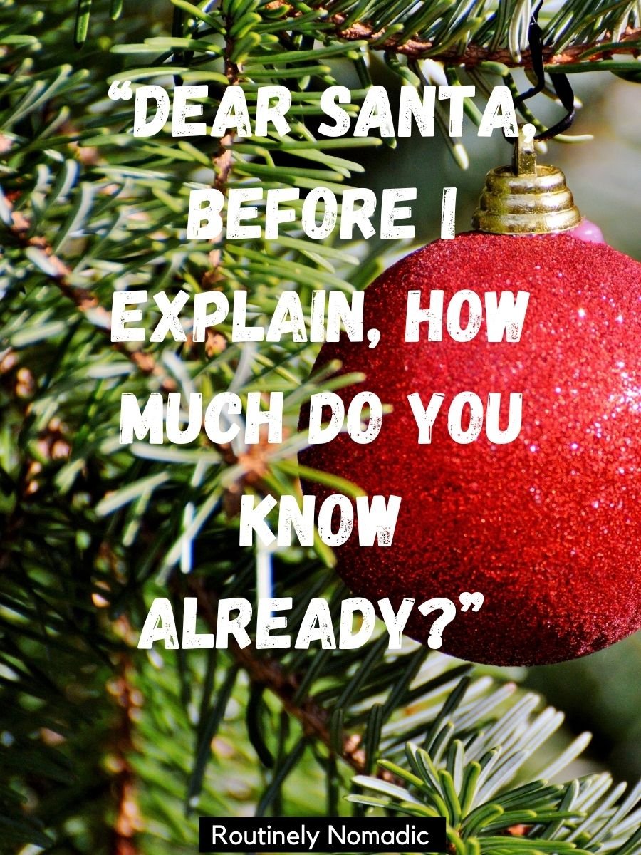 145 Funny Christmas Quotes and Sayings for Those Hilarious Festive ...