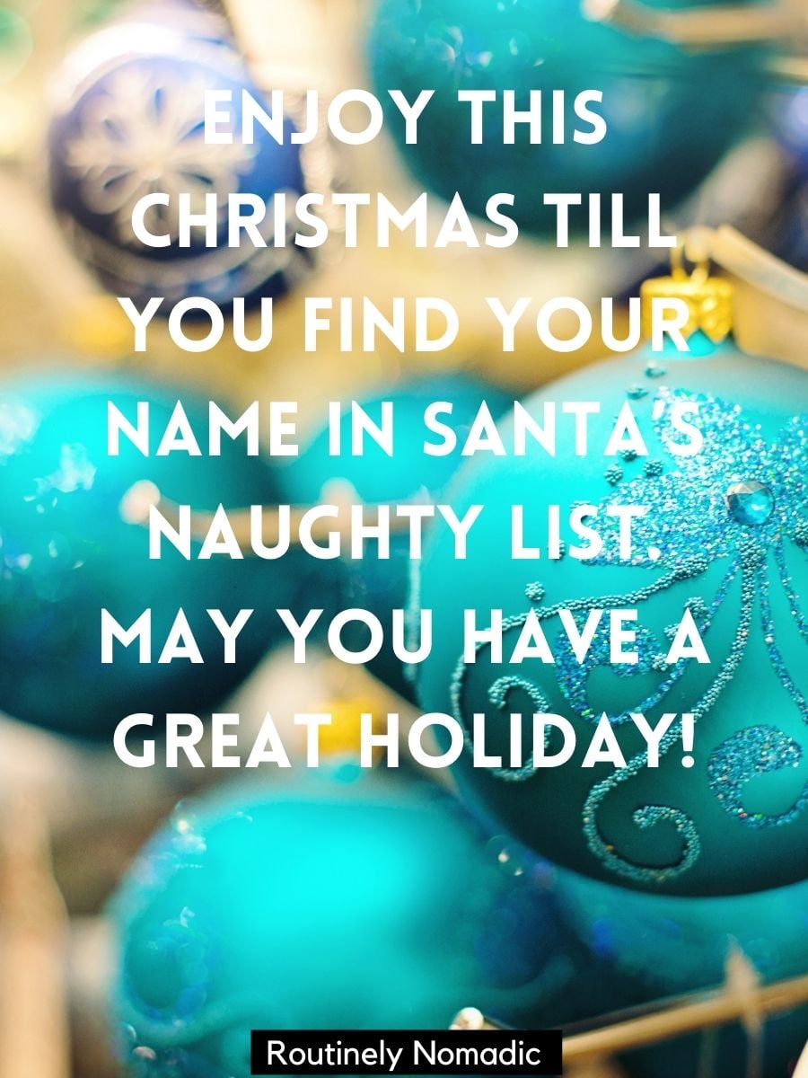 The 165 Best Funny Merry Christmas Wishes for a Holiday Laugh ...