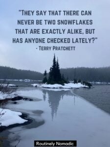 110 Short and Inspirational Snowflake Quotes for that Unique Aeshetic ...