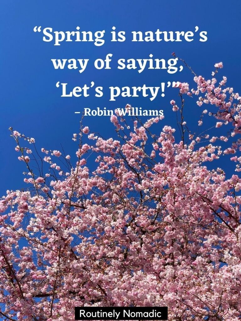 215 Hello May Quotes for that Happy to Welcome a New Month Aesthetic ...