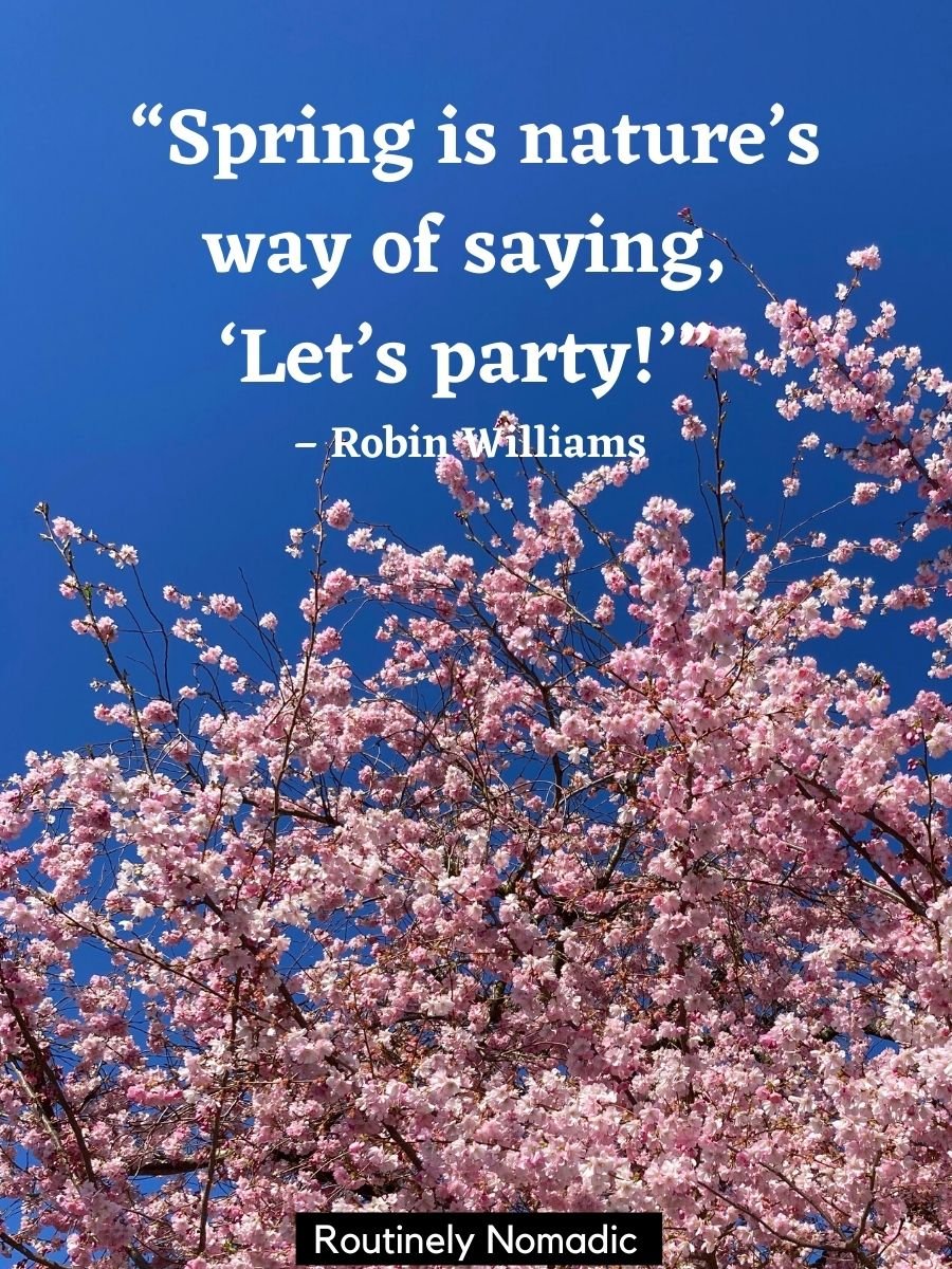 100 Welcome April Quotes for When You are Happy to Say Hello to Spring ...