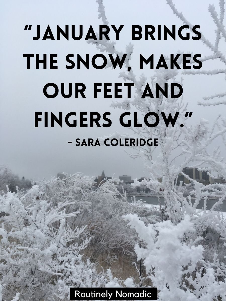 The 175 Best January Letter Board Quotes and Sayings - Routinely Shares