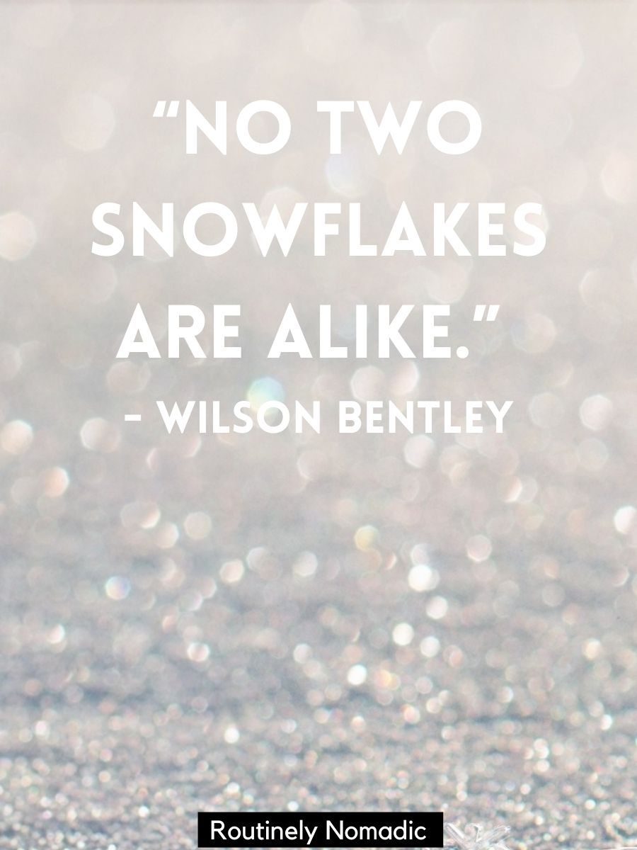 110 Short and Inspirational Snowflake Quotes for that Unique Aeshetic ...