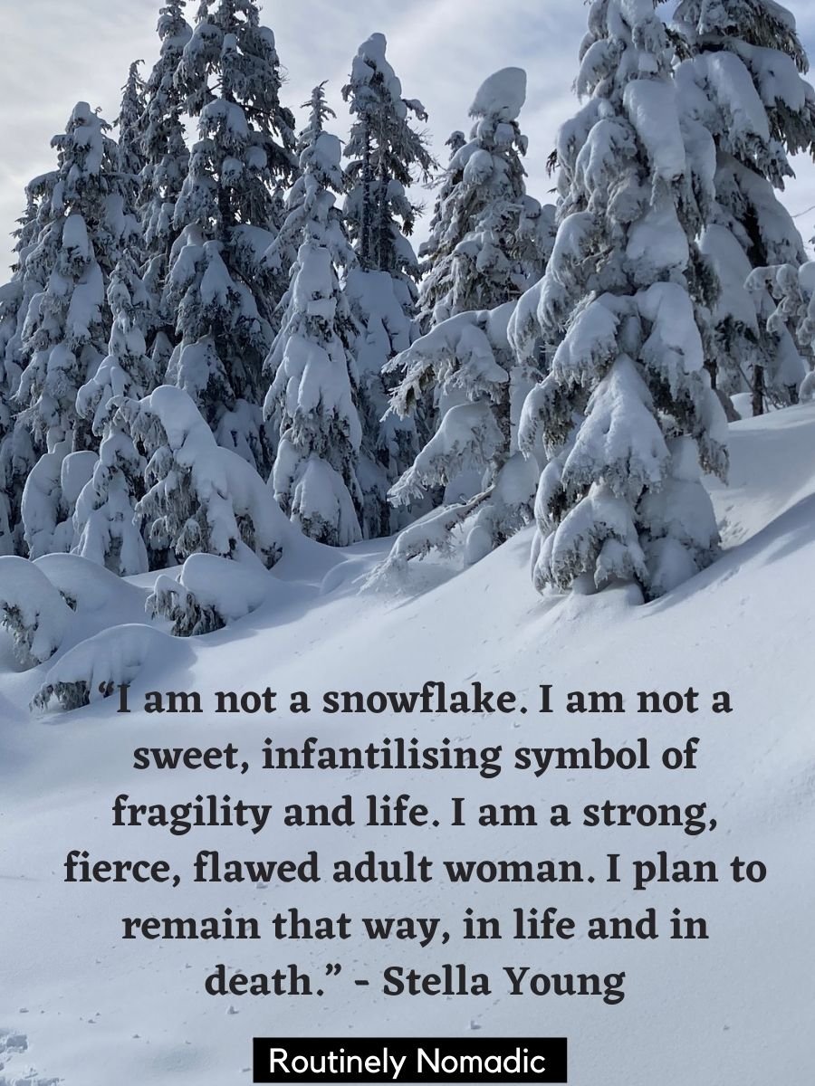 110 Short and Inspirational Snowflake Quotes for that Unique Aeshetic ...