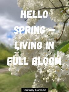 Cute and Happy Spring Sayings to Welcome the Blooming Flowers ...