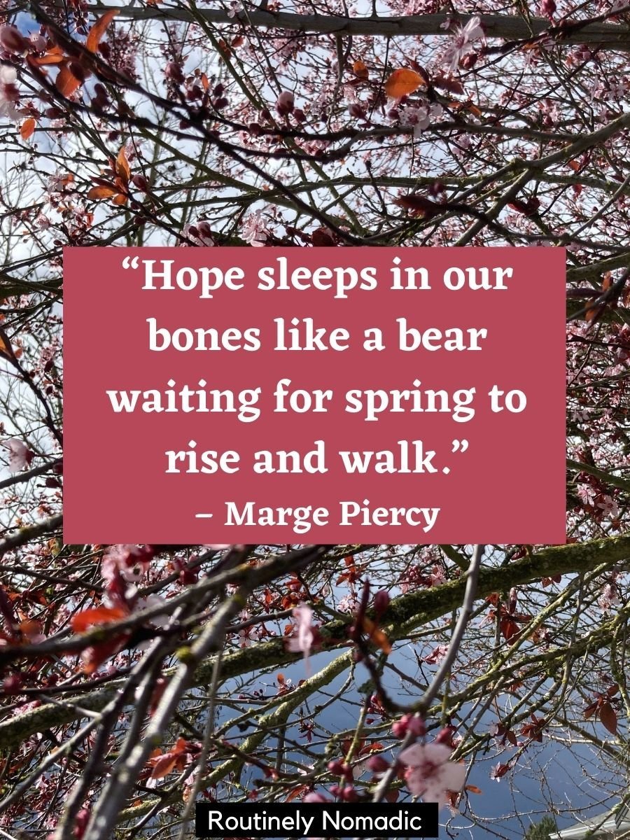 100 Happy Short Spring Quotes for that Inspiring Aesthetic - Routinely ...