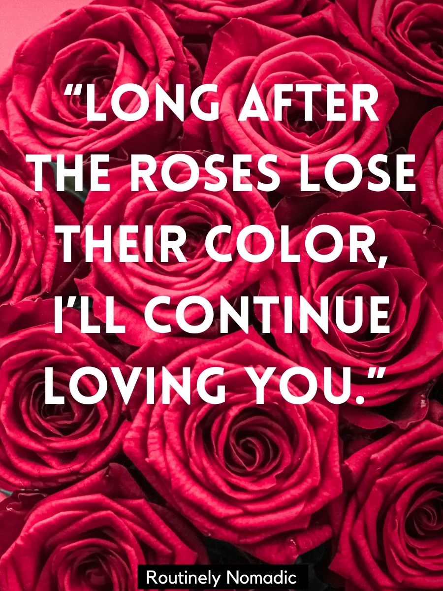 Short Valentine’s Day Quotes: 100 Perfect Valentine's Sayings ...