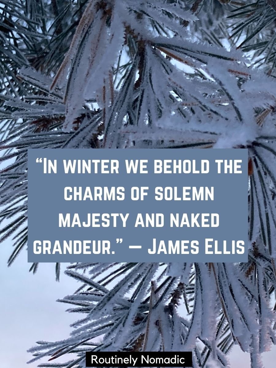100 Best Winter Captions for that Cold Weather Aesthetic - Routinely Shares