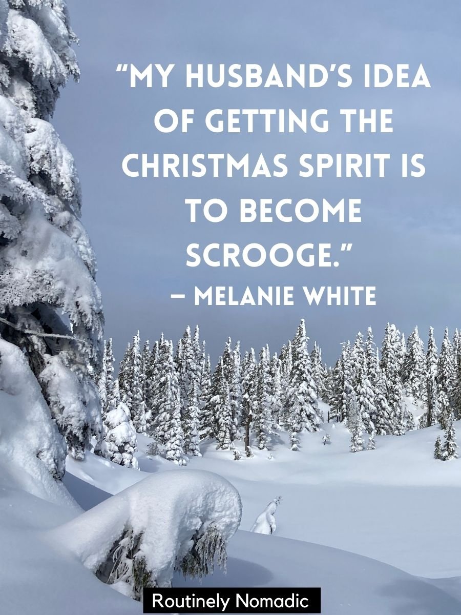 145 Funny Christmas Quotes and Sayings for Those Hilarious Festive ...