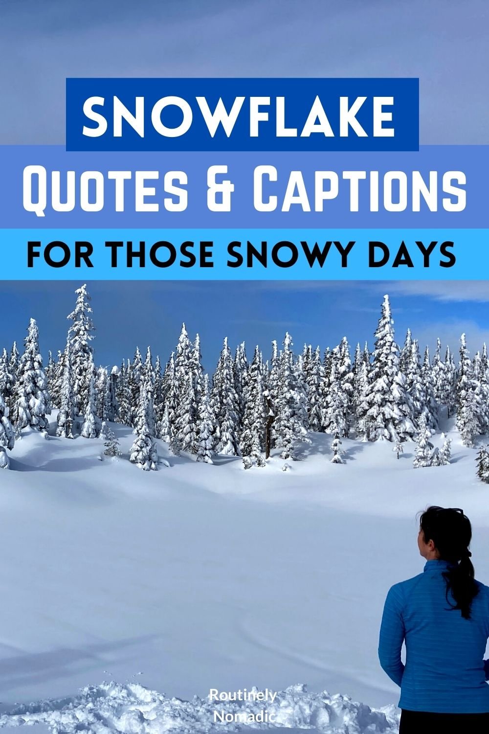 110 Short and Inspirational Snowflake Quotes for that Unique Aeshetic ...