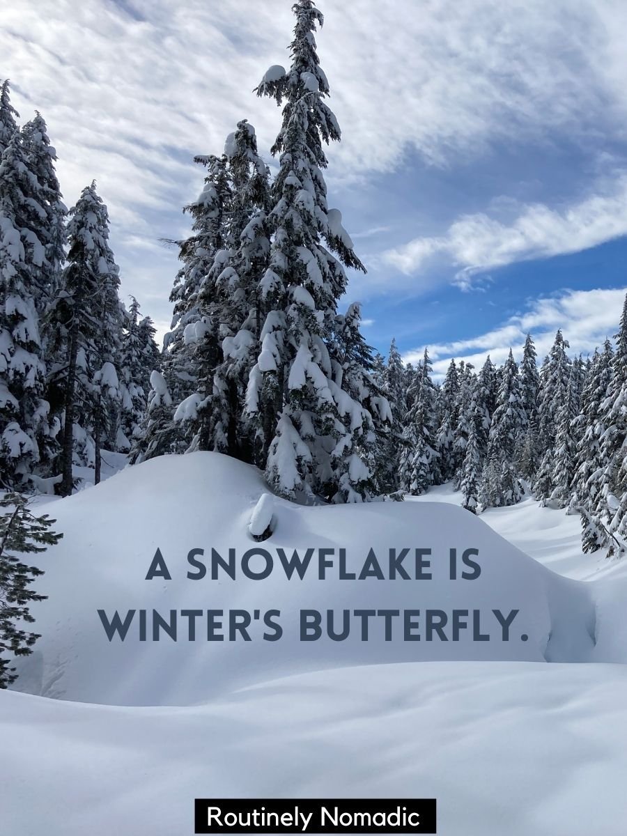 110 Short and Inspirational Snowflake Quotes for that Unique Aeshetic ...