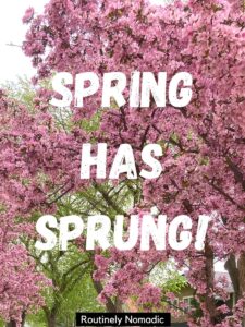 200 Funny Spring Puns, Jokes and One Liners - Routinely Shares