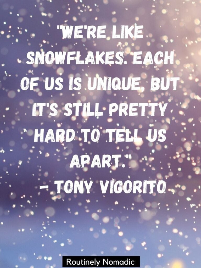 110 Short and Inspirational Snowflake Quotes for that Unique Aeshetic ...