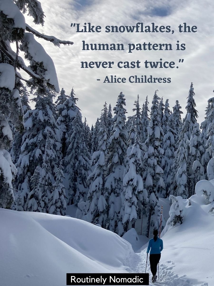 110 Short and Inspirational Snowflake Quotes for that Unique Aeshetic ...