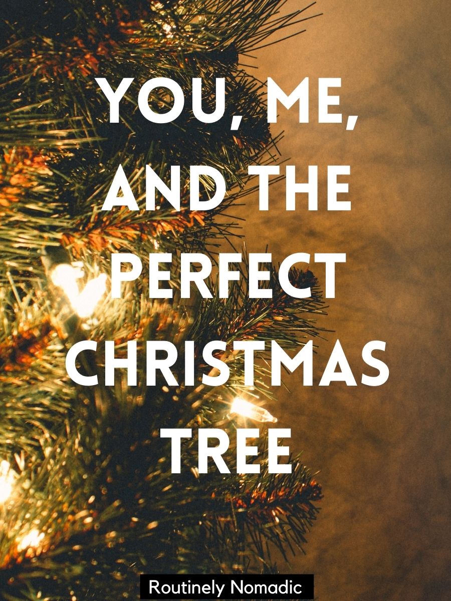 150 Funny Christmas Captions to Add Humor to the Holidays - Routinely ...