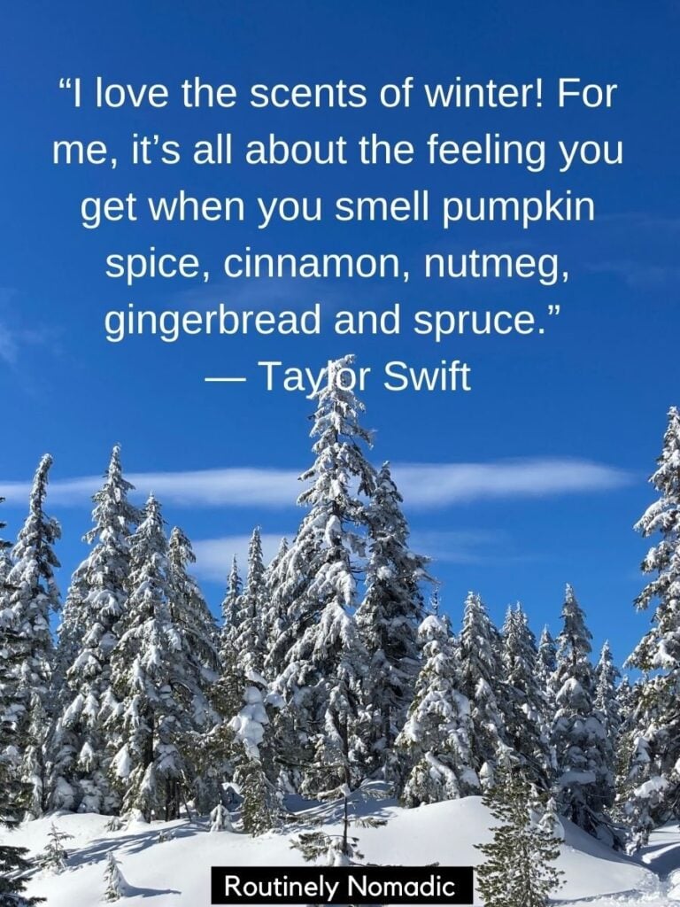 100 Short Winter Quotes for that Cold Weather Aesthetic - Routinely Shares