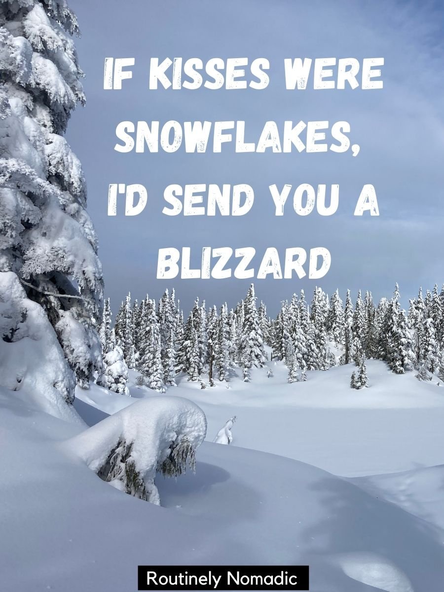 110 Short and Inspirational Snowflake Quotes for that Unique Aeshetic ...