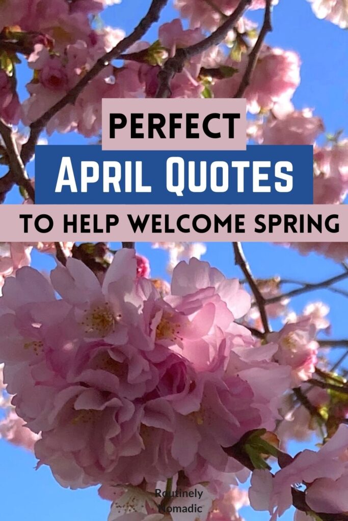 100 Welcome April Quotes for When You are Happy to Say Hello to Spring ...