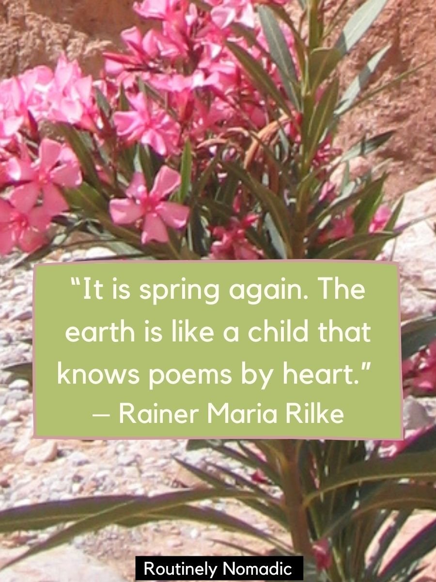 100 Welcome April Quotes for When You are Happy to Say Hello to Spring ...