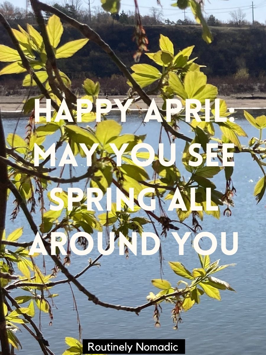 100 Welcome April Quotes for When You are Happy to Say Hello to Spring ...