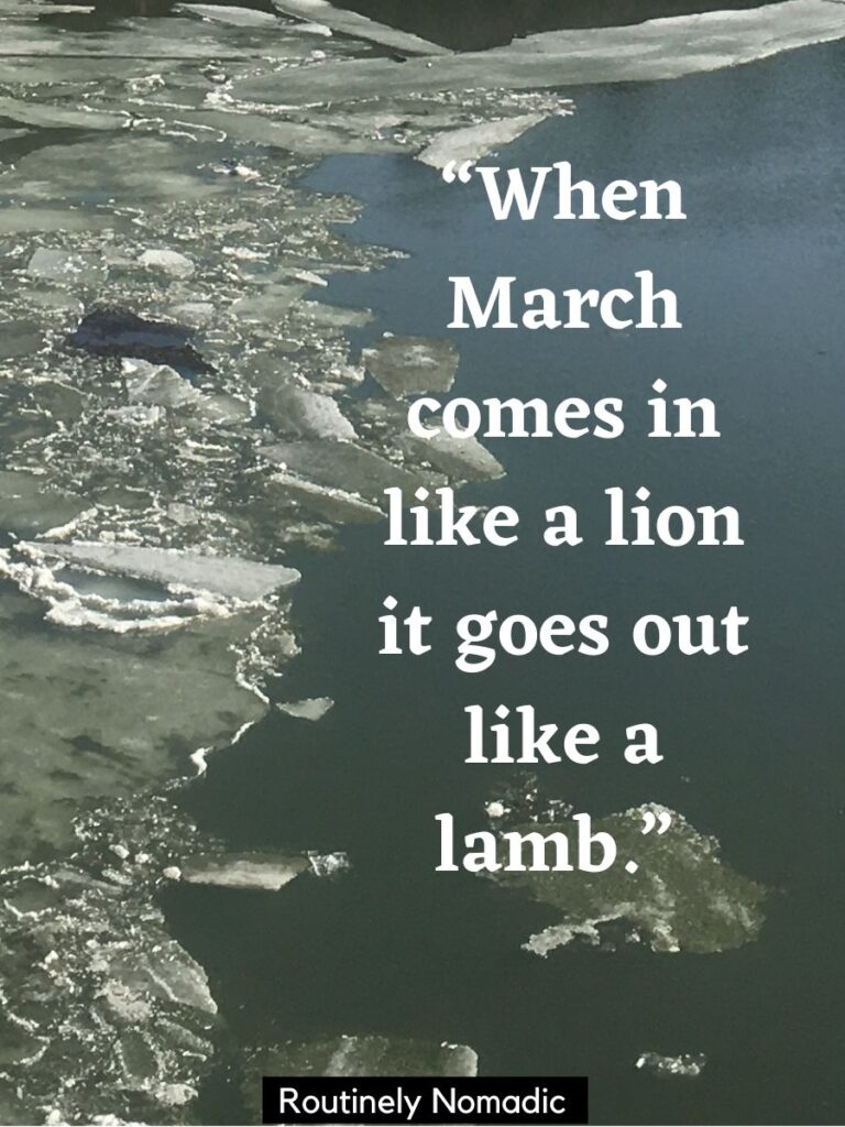 160 Hello March Quotes for When You Are Happy to Welcome a New Month ...