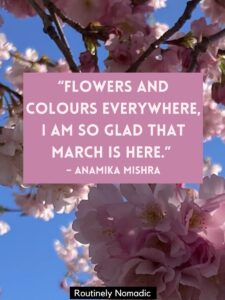 100 Welcome March Captions to Say Hello to a New Month - Routinely Shares