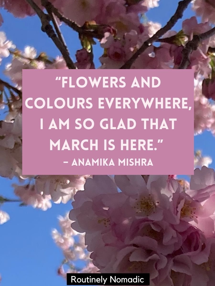 The 150 Best March Letter Board Quotes and Sayings - Routinely Shares