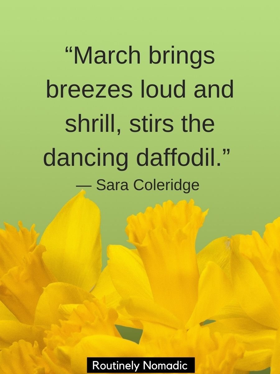 The 150 Best March Letter Board Quotes and Sayings - Routinely Shares