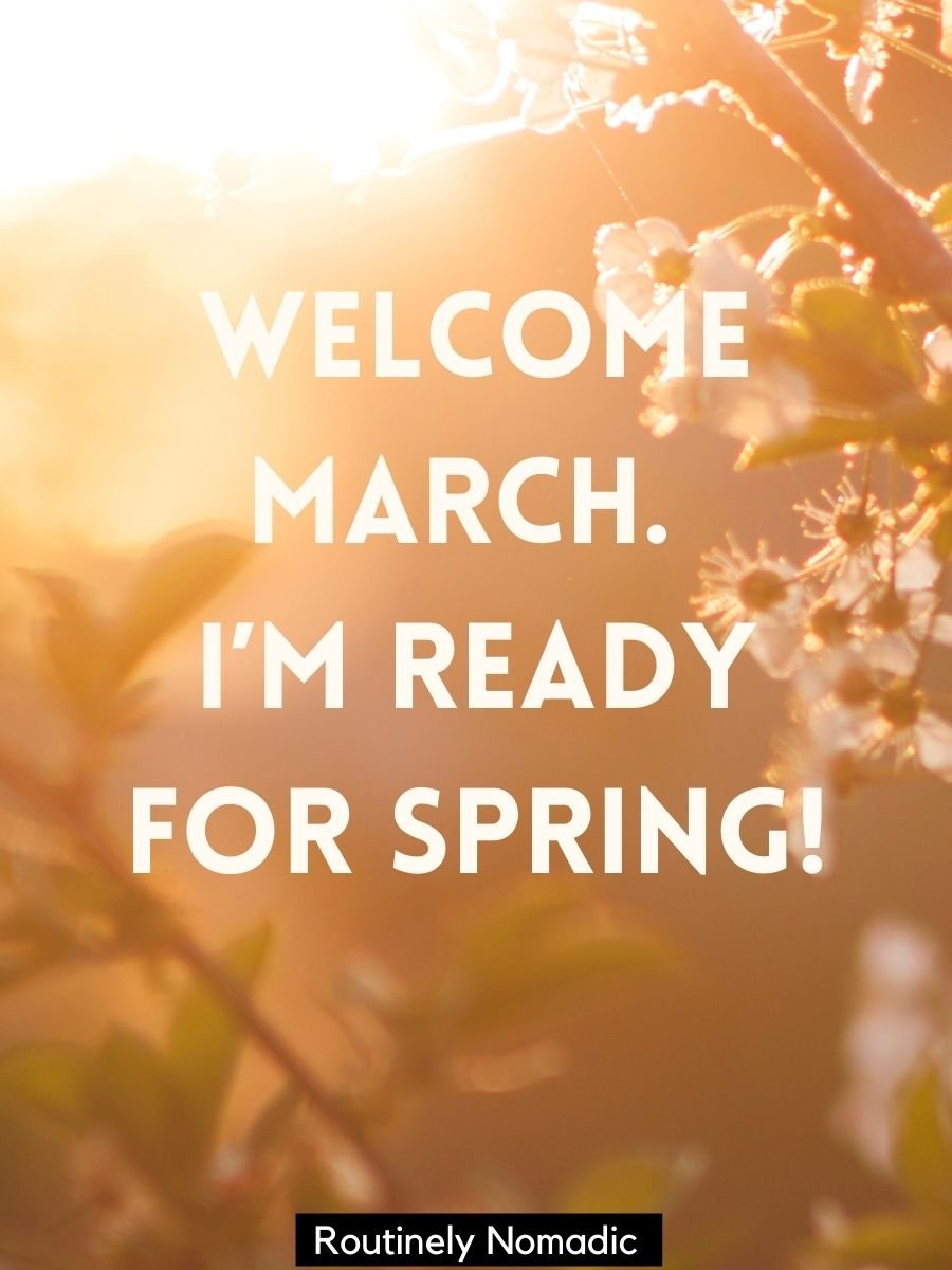 The 150 Best March Letter Board Quotes and Sayings - Routinely Shares