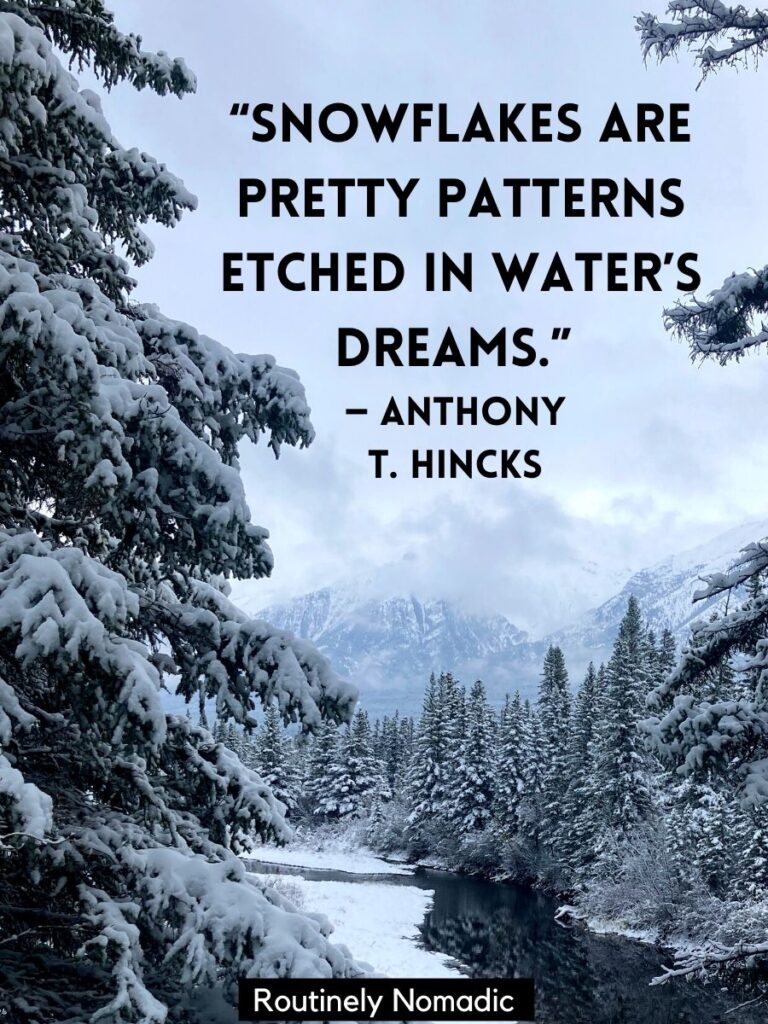 100 Happy Snow Day Quotes and Captions - Routinely Shares