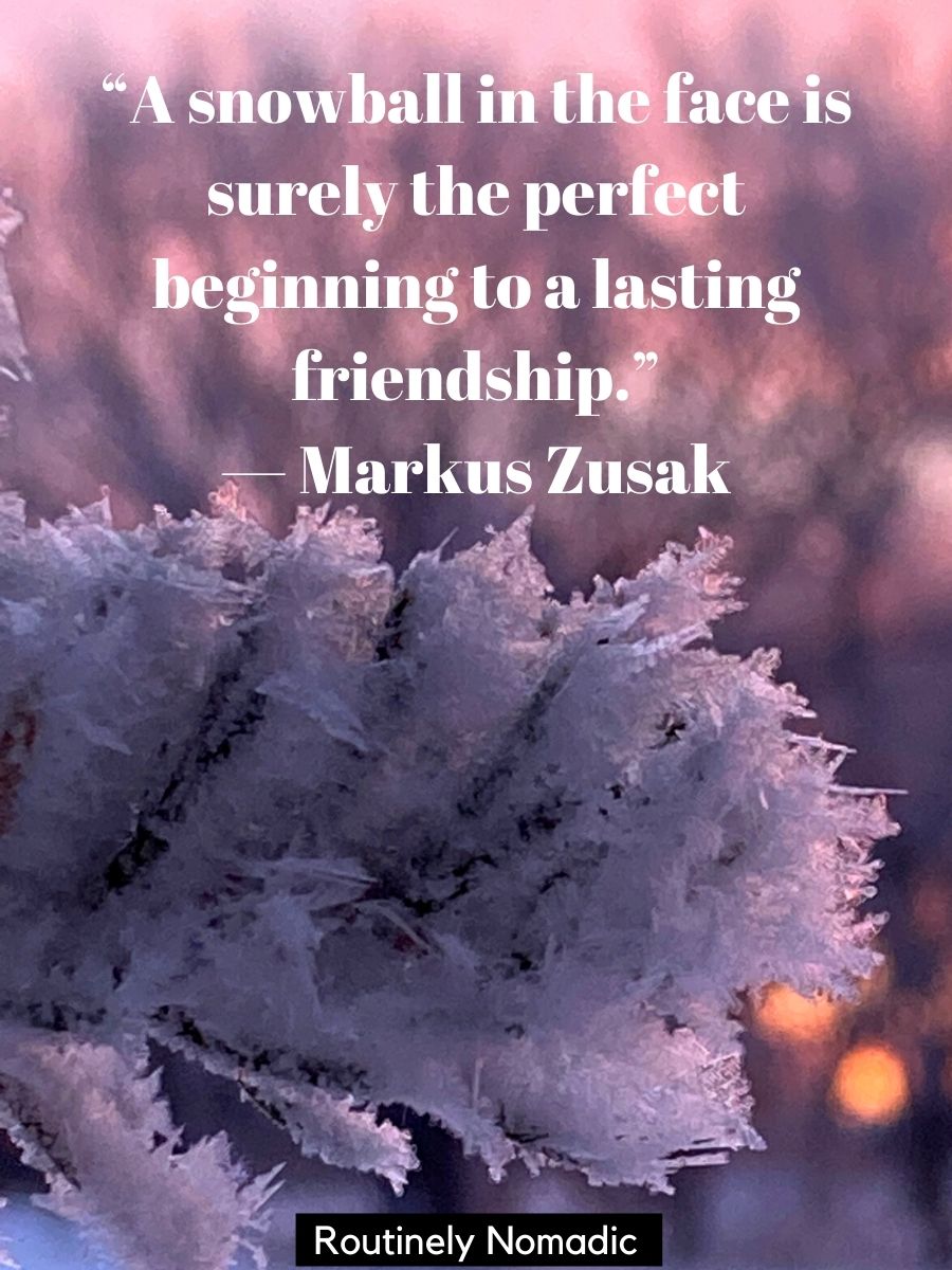85 Funny Winter Quotes and Sayings for Those Freezing but Hilarious ...