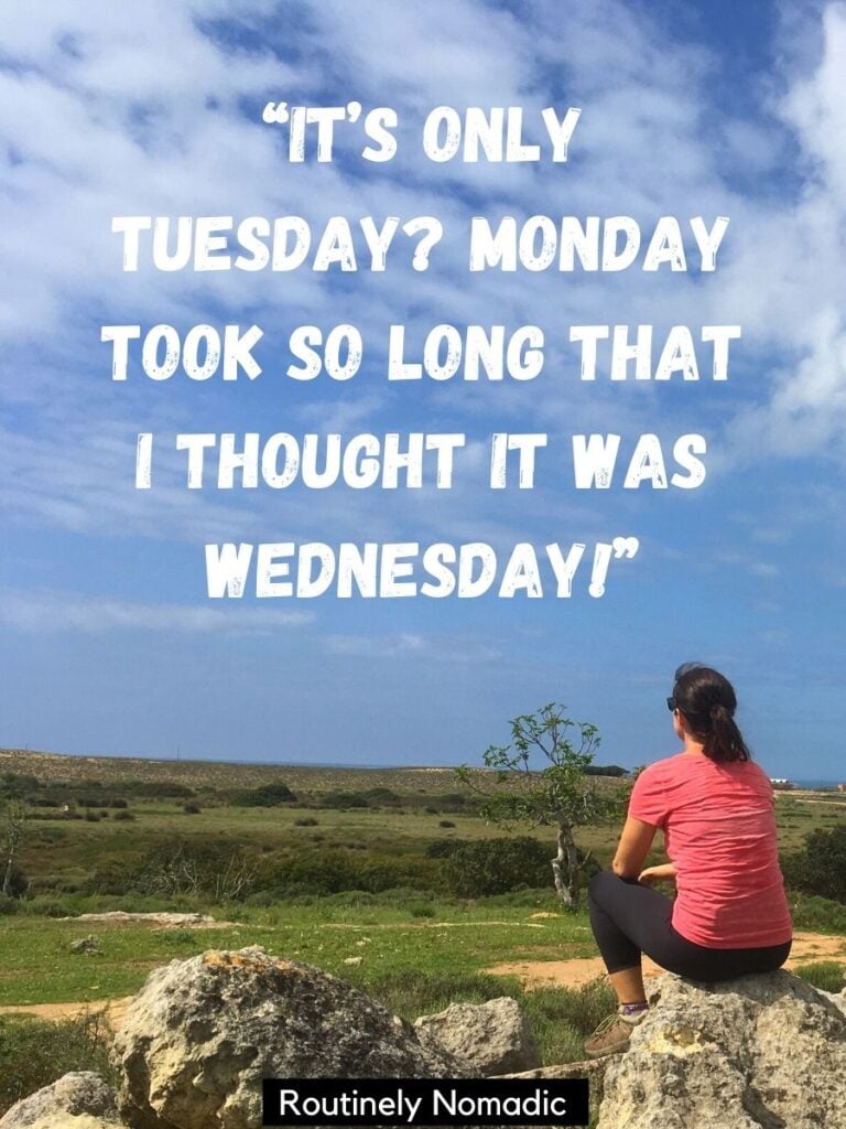 100 Funny Tuesday Quotes to Start Your Morning with Humor - Routinely ...