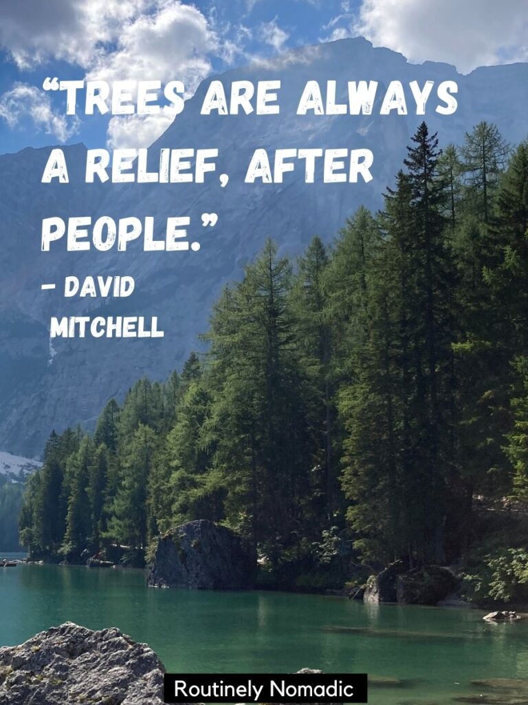 100 Short Aesthetic Green Quotes for all of Life's Green Moments ...