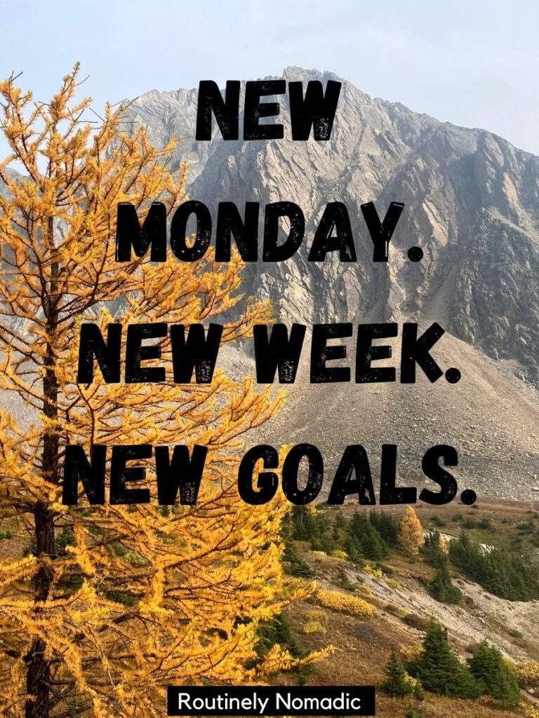 100 Happy Monday Captions for that Start of the Week Aesthetic ...