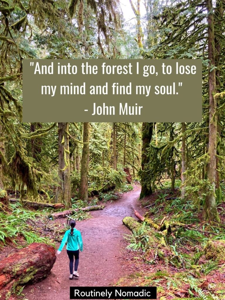 100 Walking Quotes for that Inspiration to Keep Moving - Routinely Shares