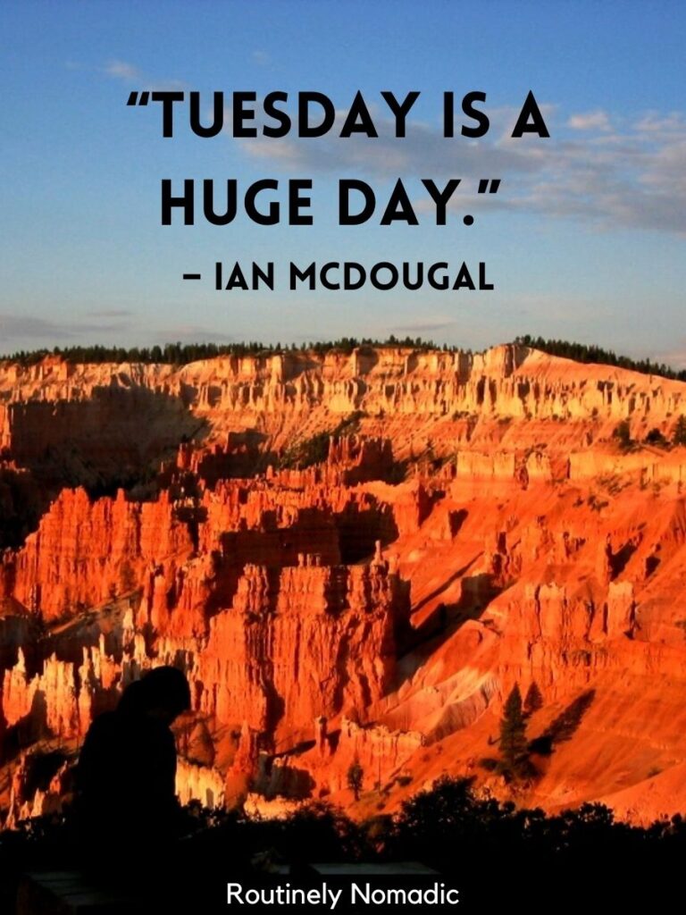 Have a Good Morning with These 100 Happy Tuesday Quotes - Routinely Shares