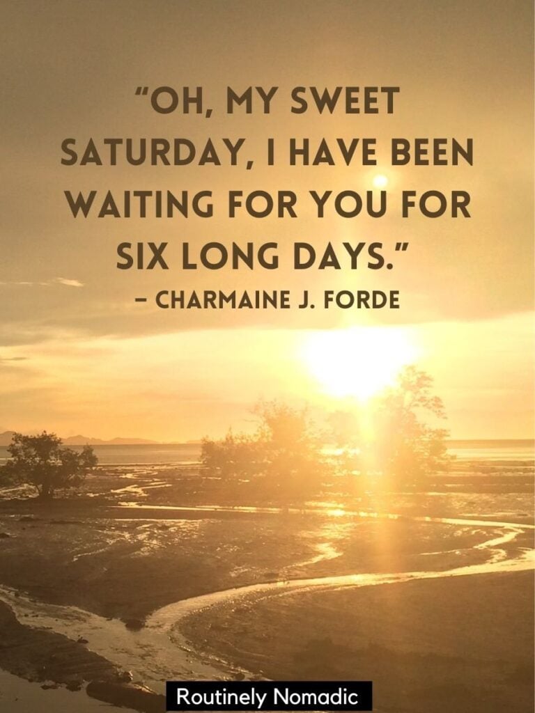 100 Happy Saturday Captions for Instagram for that Weekend Aesthetic ...