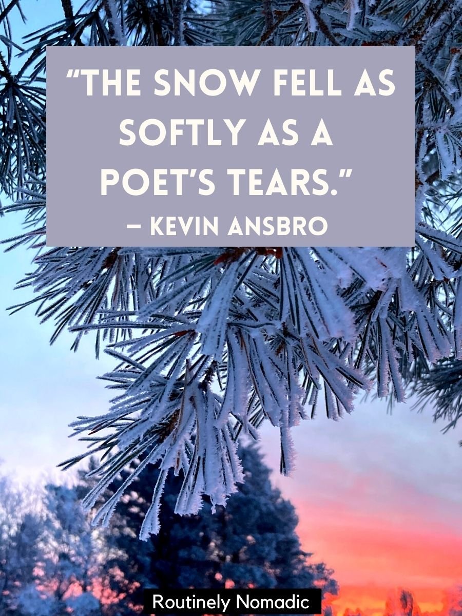 100 Happy Snow Day Quotes and Captions - Routinely Shares