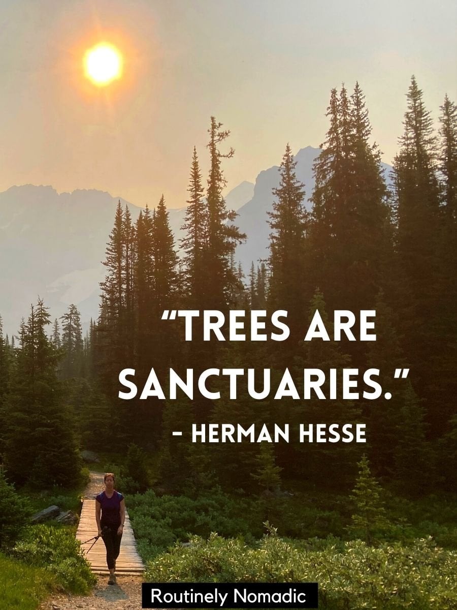 The 155 Best Short Nature Quotes and Sayings to Describe Nature’s ...