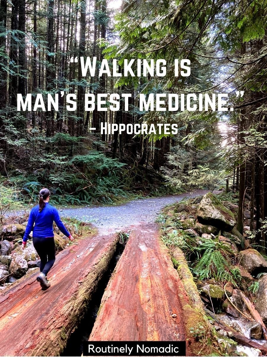 100 Walking Quotes for that Inspiration to Keep Moving - Routinely Shares