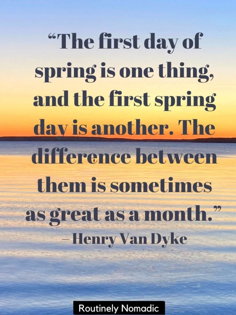 115 Funny Spring Quotes to Add Humor to Your Springtime - Routinely Shares