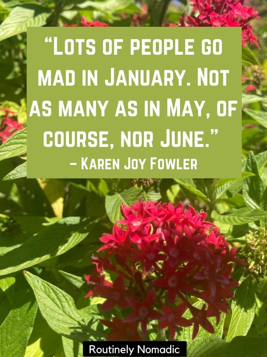 115 Funny Spring Quotes to Add Humor to Your Springtime - Routinely Shares