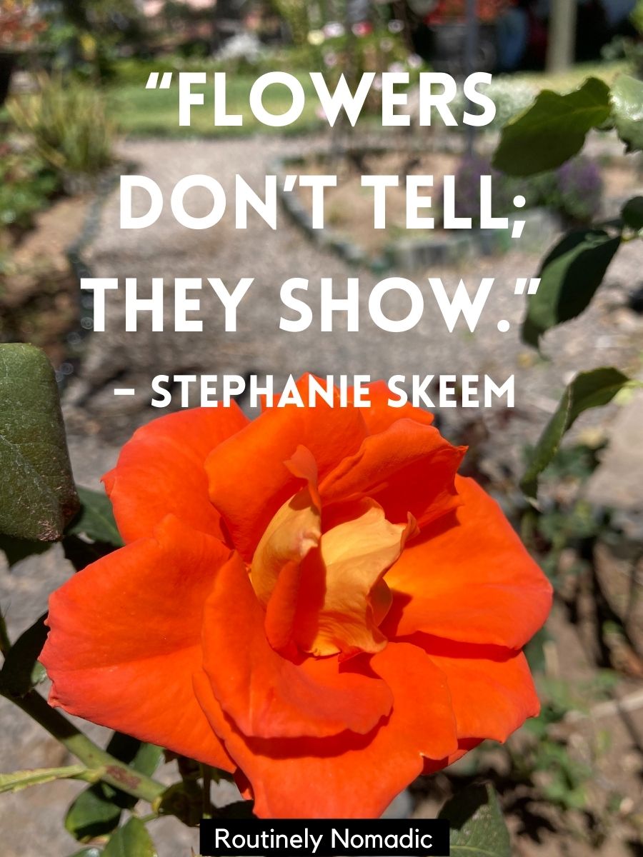 115 Funny Spring Quotes to Add Humor to Your Springtime - Routinely Shares