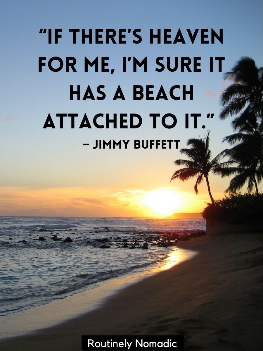 75 Funny Summer Quotes for those Amusing Summertime Feels - Routinely ...