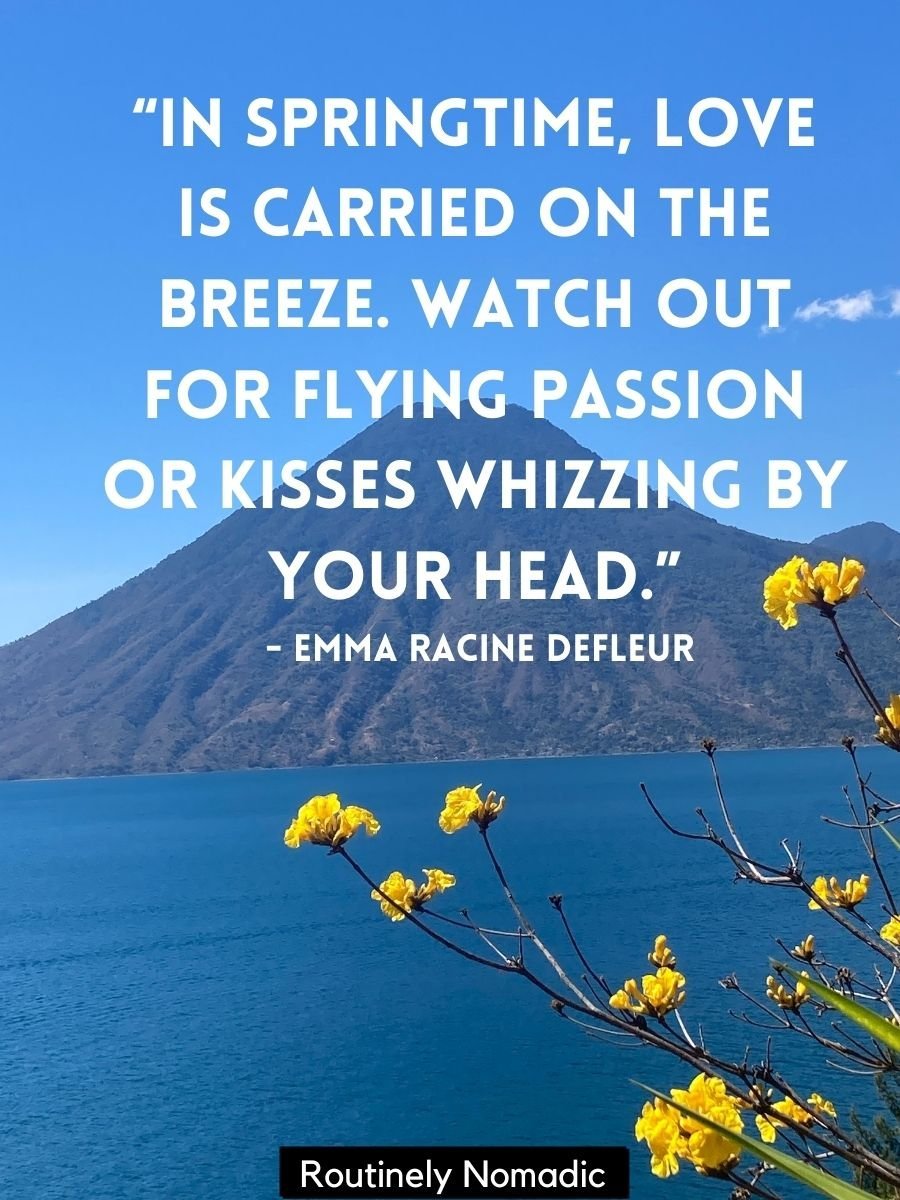 115 Funny Spring Quotes to Add Humor to Your Springtime - Routinely Shares