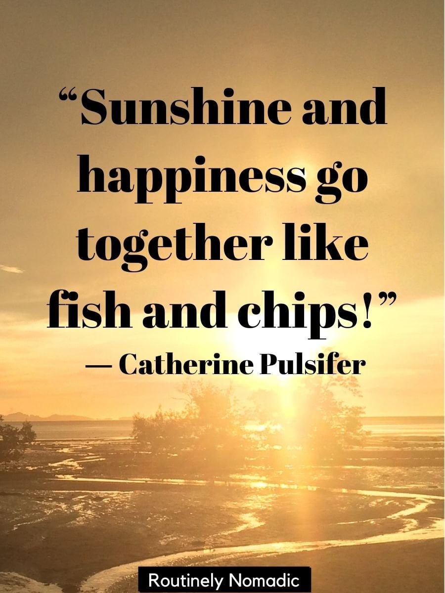 75 Funny Summer Quotes for those Amusing Summertime Feels - Routinely ...